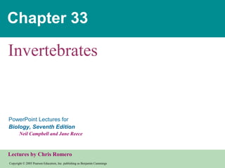 Invertebrates | PPT