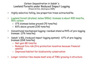 Mark Leighton - Forests: A Pivotal Player | PPTX
