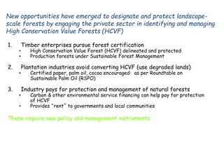 Mark Leighton - Forests: A Pivotal Player | PPTX