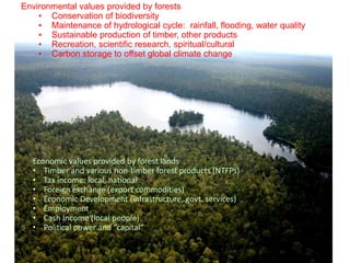 Mark Leighton - Forests: A Pivotal Player | PPTX