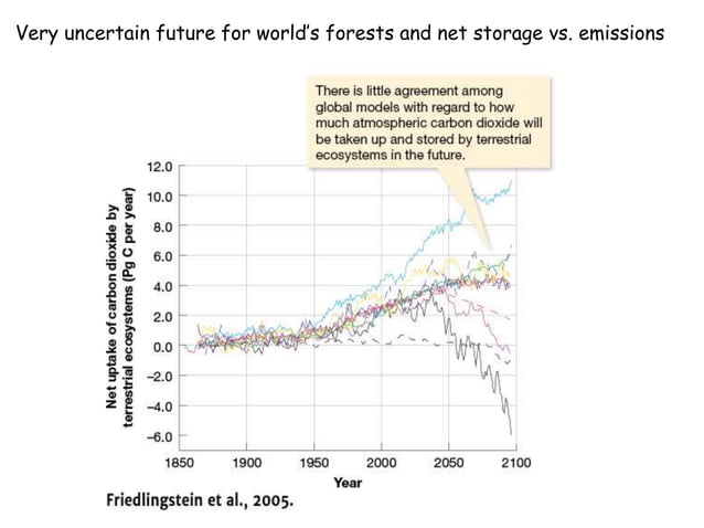 Mark Leighton - Forests: A Pivotal Player | PPT