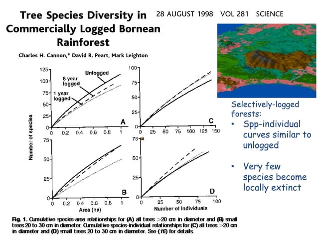 Mark Leighton - Forests: A Pivotal Player | PPT