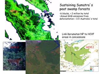 Mark Leighton - Forests: A Pivotal Player | PPT