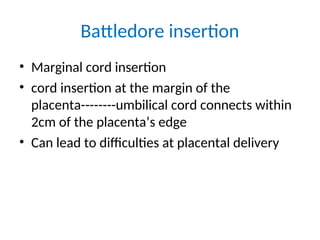 33-S-Umbilical Cord and Its Abnormalities.ppt- (1).ppt