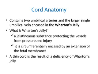 33-S-Umbilical Cord and Its Abnormalities.ppt- (1).ppt