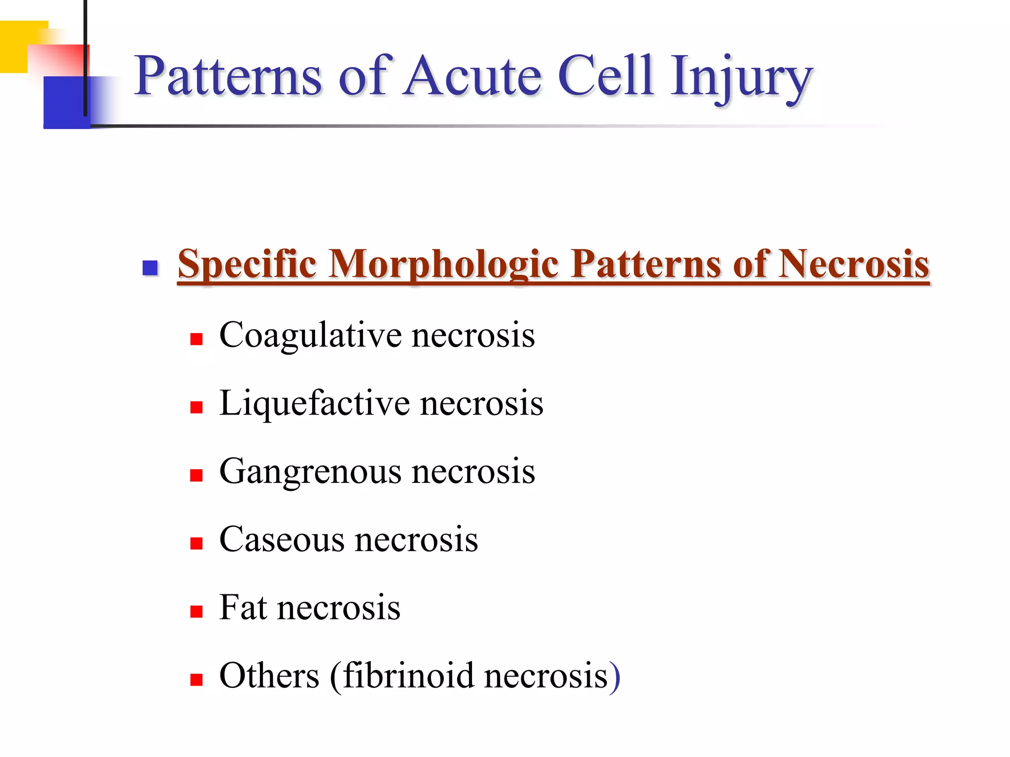 forms and morphology of cell injury | PPT