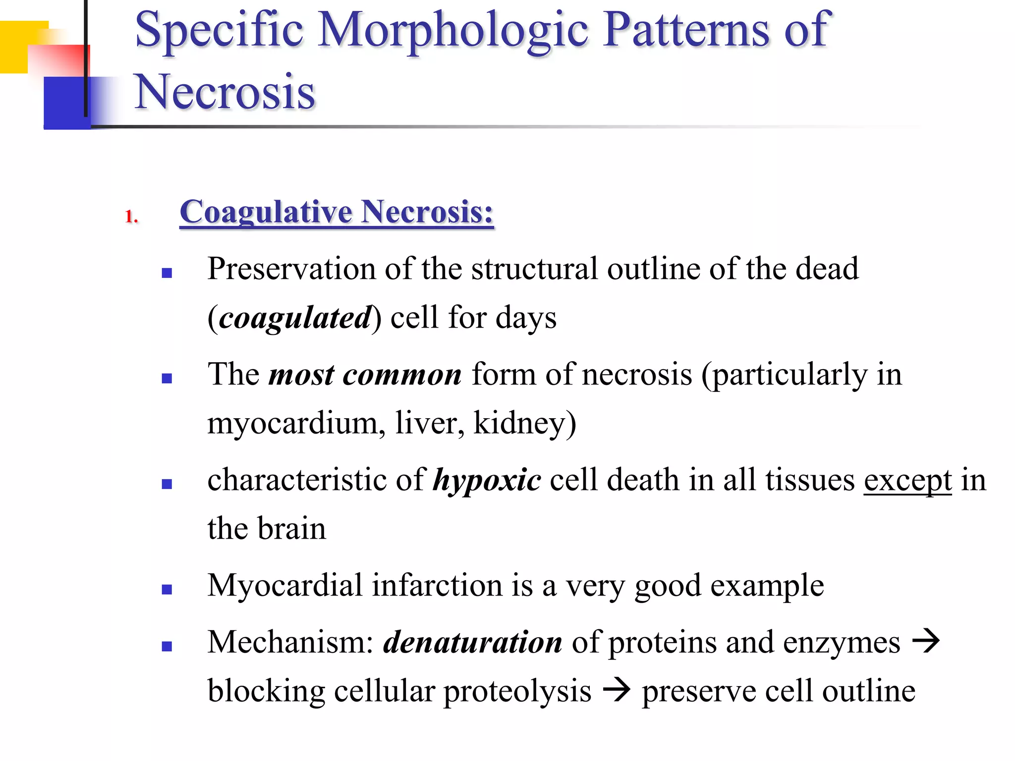 forms and morphology of cell injury | PPT