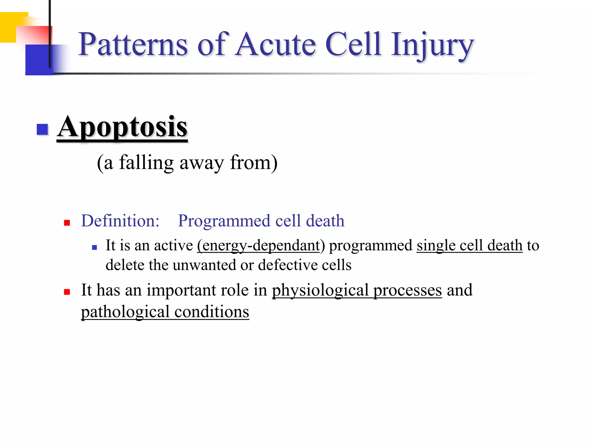 forms and morphology of cell injury | PPT