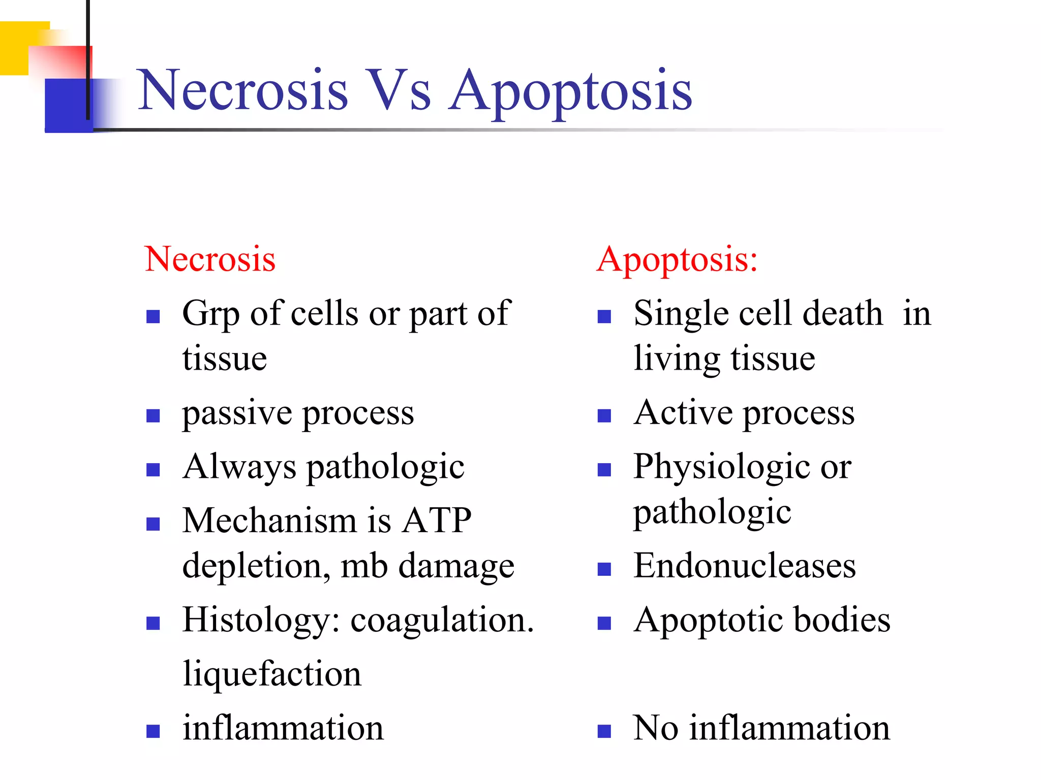 forms and morphology of cell injury | PPT