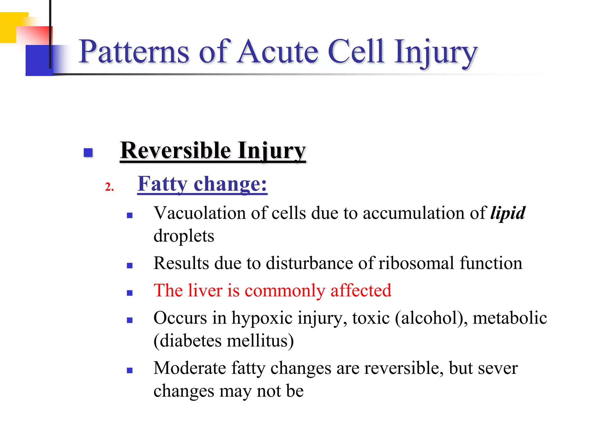 forms and morphology of cell injury | PPT