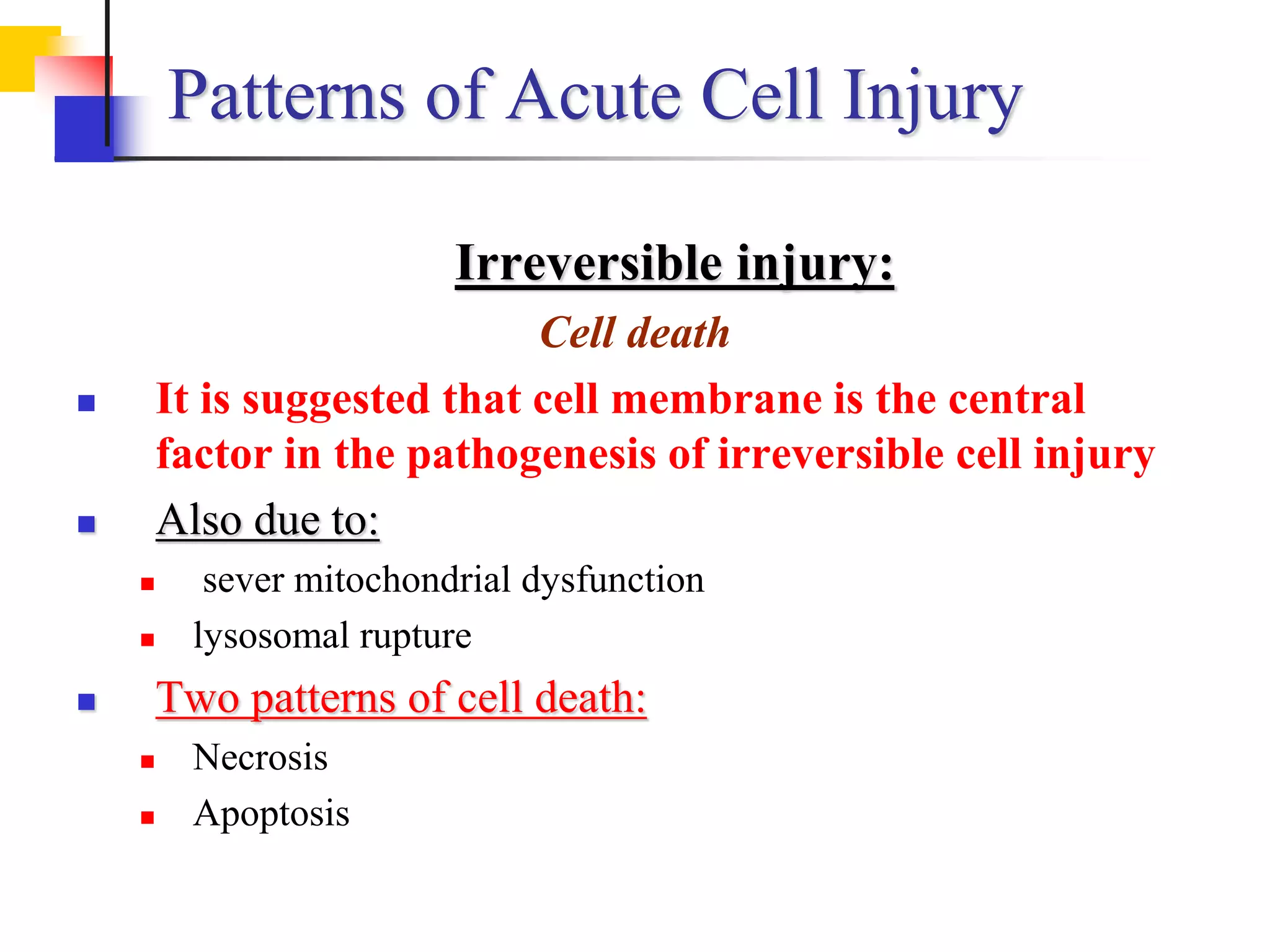 forms and morphology of cell injury | PPT