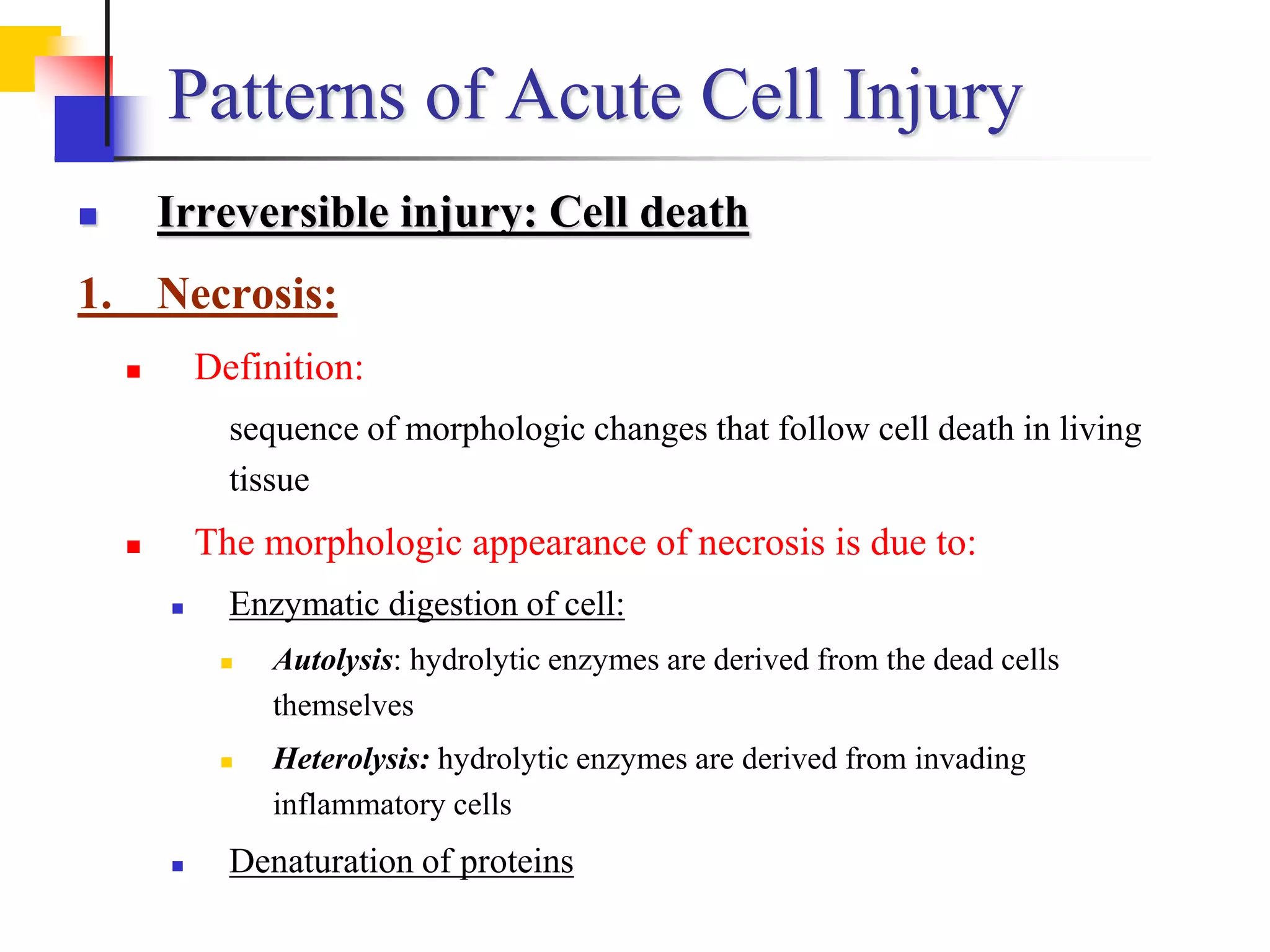 forms and morphology of cell injury | PPT