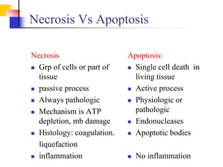 forms and morphology of cell injury | PPT
