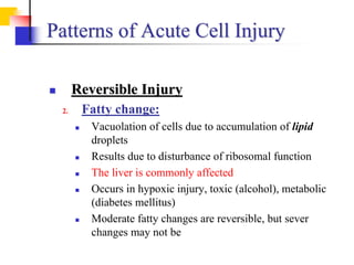 forms and morphology of cell injury | PPT