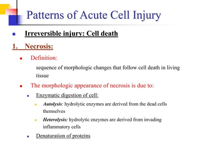 forms and morphology of cell injury | PPT