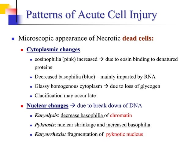 forms and morphology of cell injury | PPT