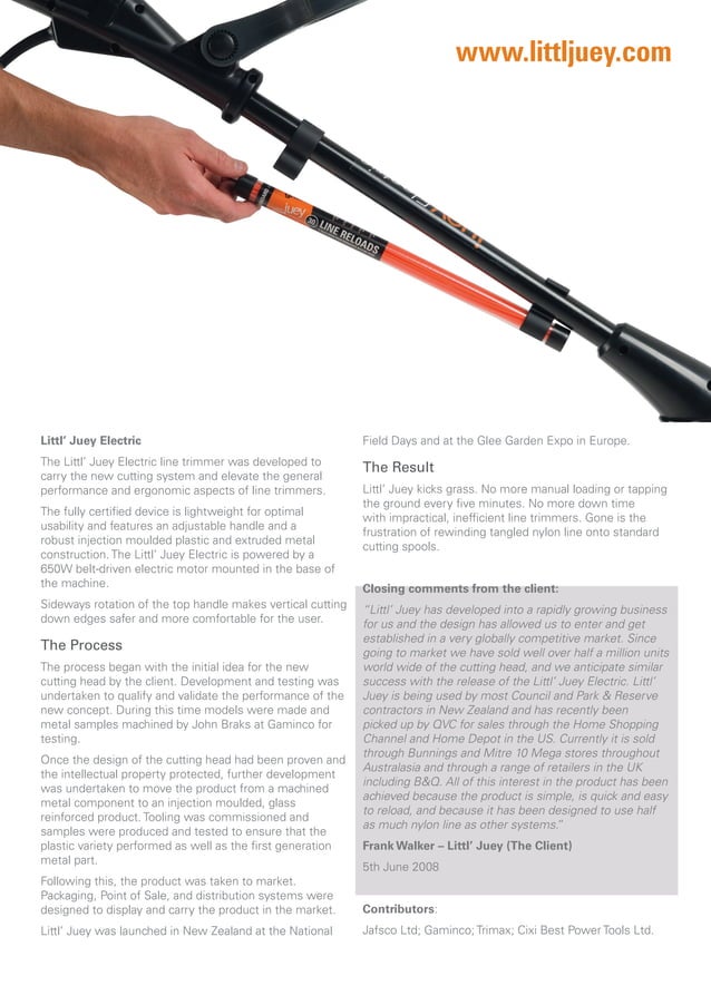 3302 16 Littl Juey Case Study(Sml) | PDF