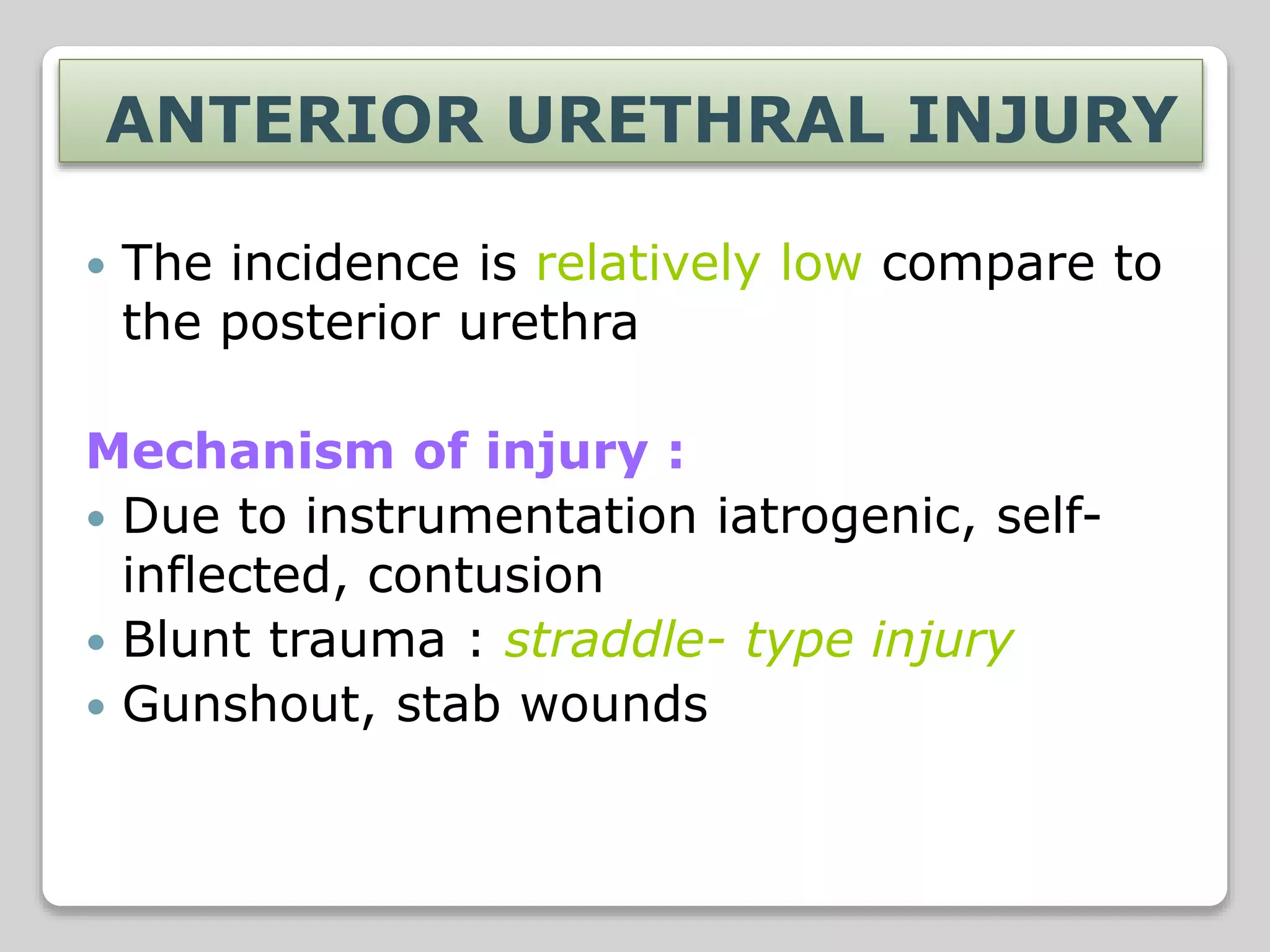 330915782 trauma-urethra-pptx | PPTX