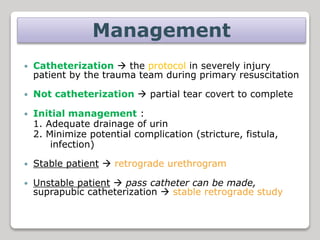 330915782 trauma-urethra-pptx | PPTX
