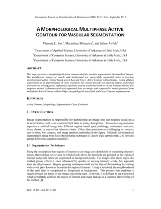 A Morphological Multiphase Active Contour for Vascular Segmentation | PDF