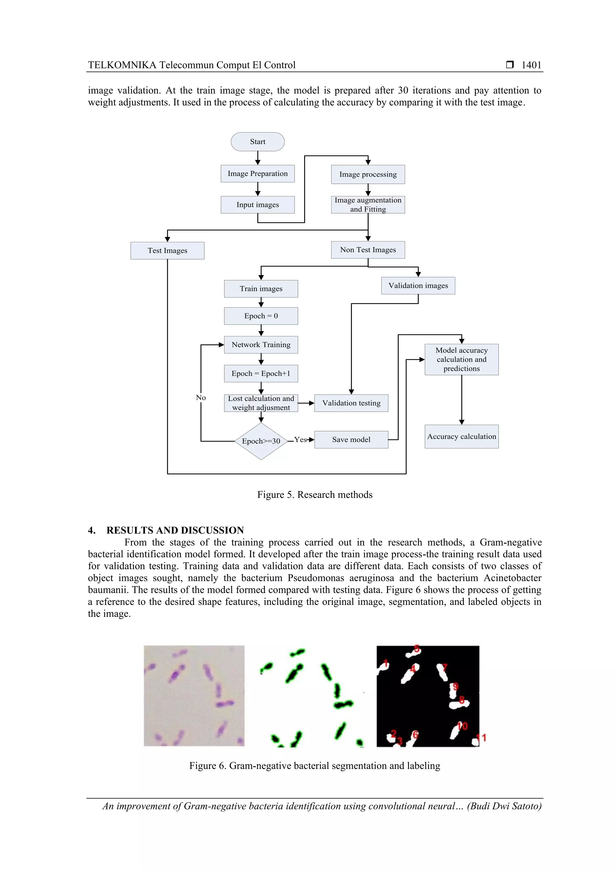 An improvement of Gram-negative bacteria identification using convolutional neural network with ...