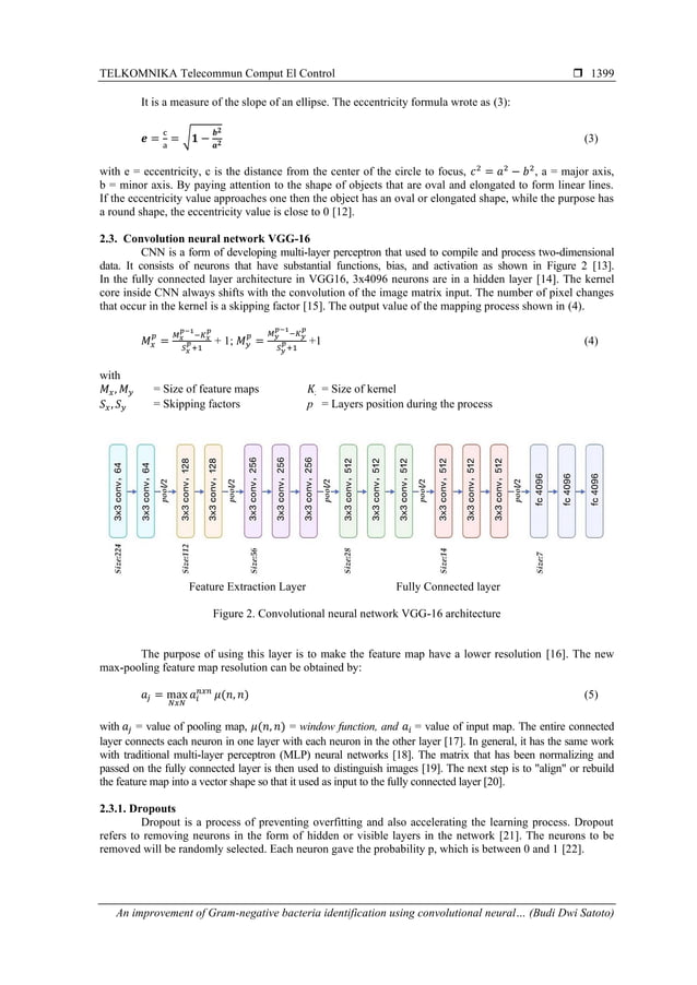 An improvement of Gram-negative bacteria identification using convolutional neural network with ...