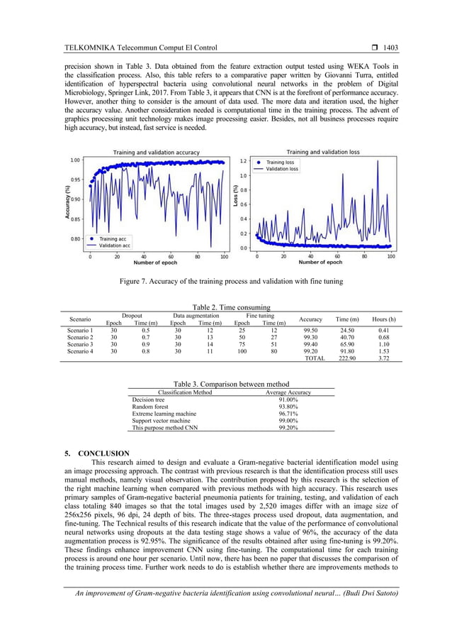 An improvement of Gram-negative bacteria identification using convolutional neural network with ...