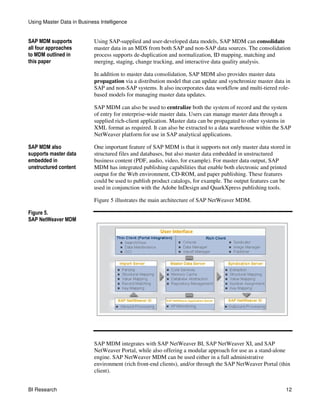 Using Master Data in Business Intelligence | PDF | Databases | Computer Software and Applications