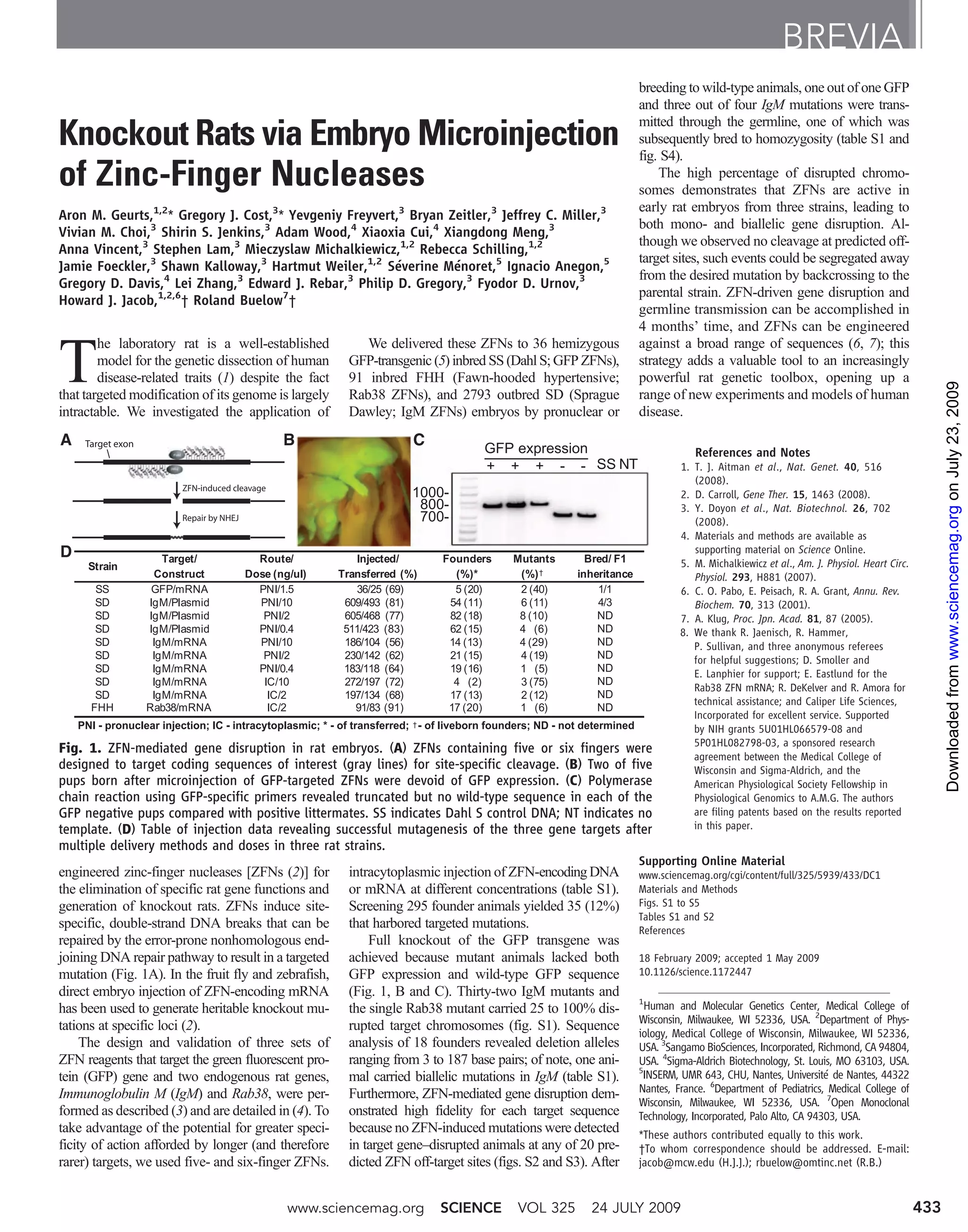 ZFN-Science-Rats | PDF