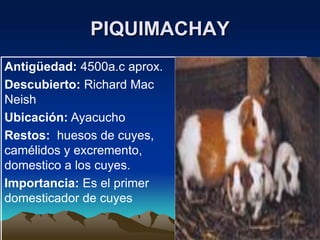 Pacaicasa | PPT