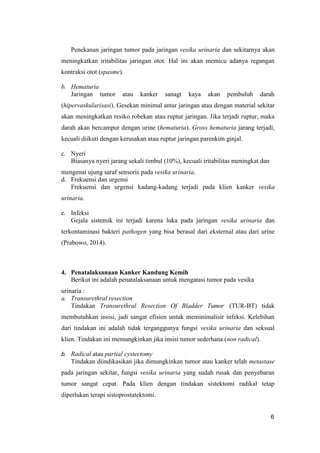 332875291-Sap-CA-Buli-Wafa (1).docx