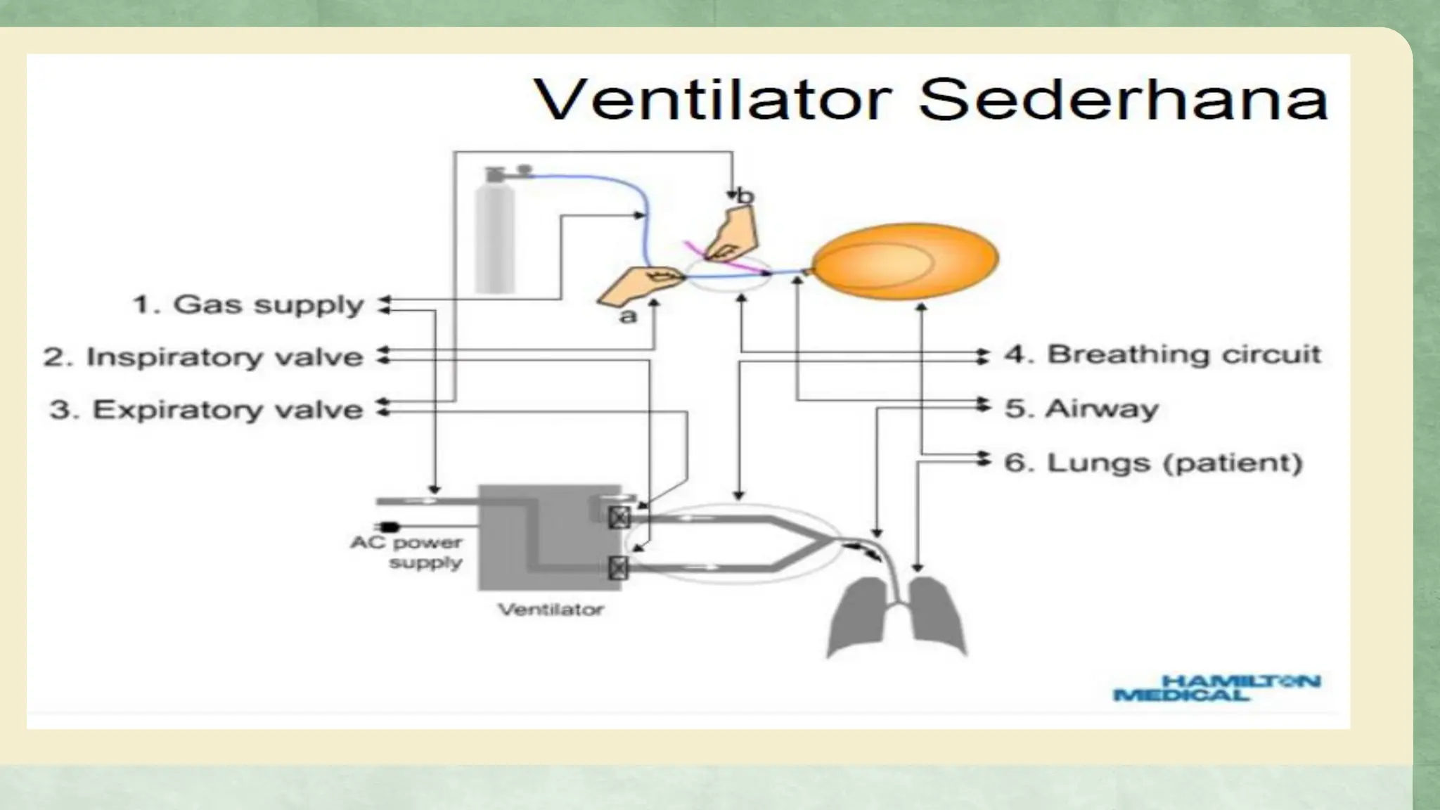 Fisika Kesehatan : Prinsip kerja ventilator | PPT