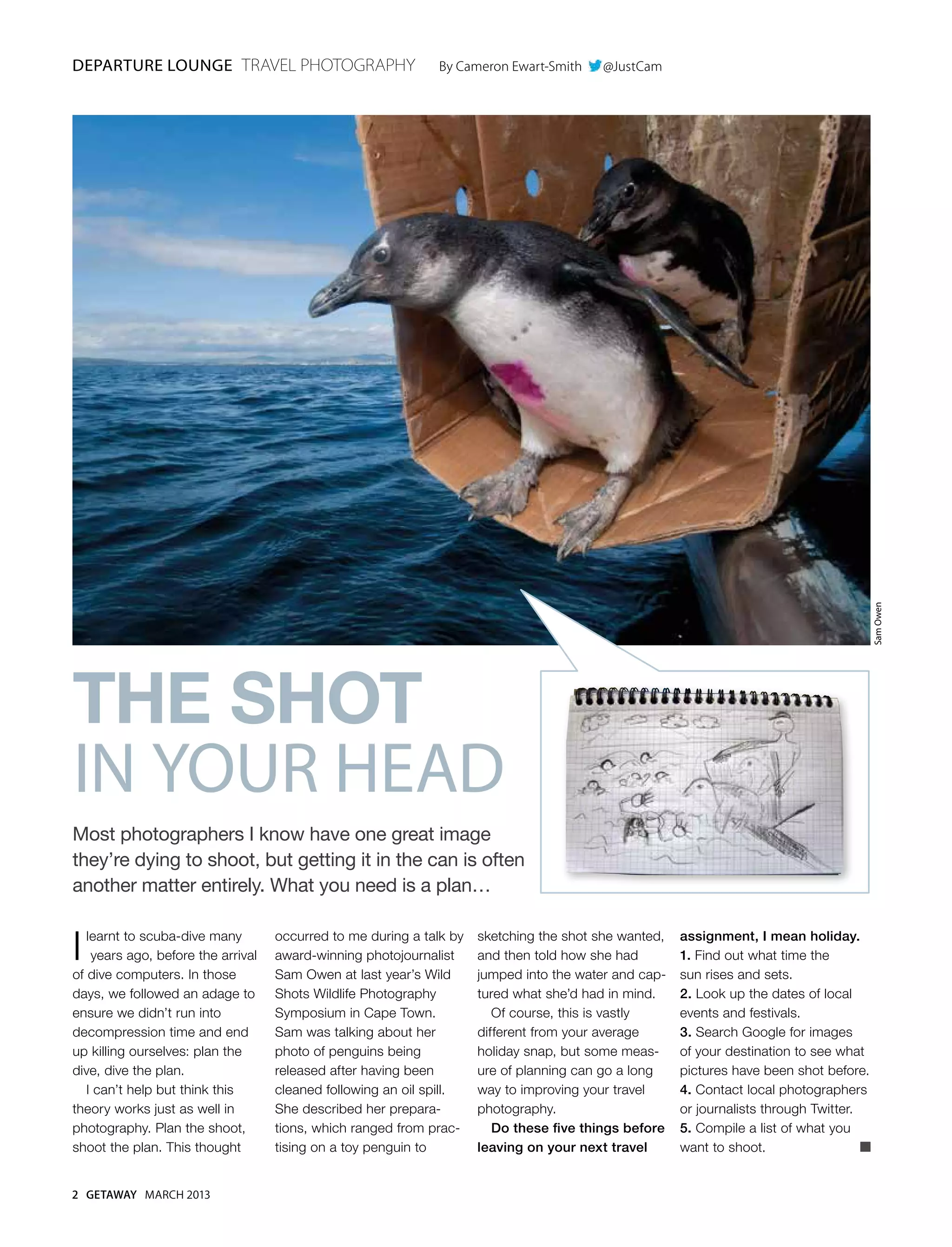 travel photo_Penguins | PDF