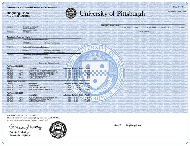 Transcript - BINGLIANG CHEN | PDF