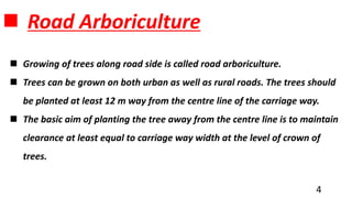 ROAD ARBORICULTURE PPT | PPTX