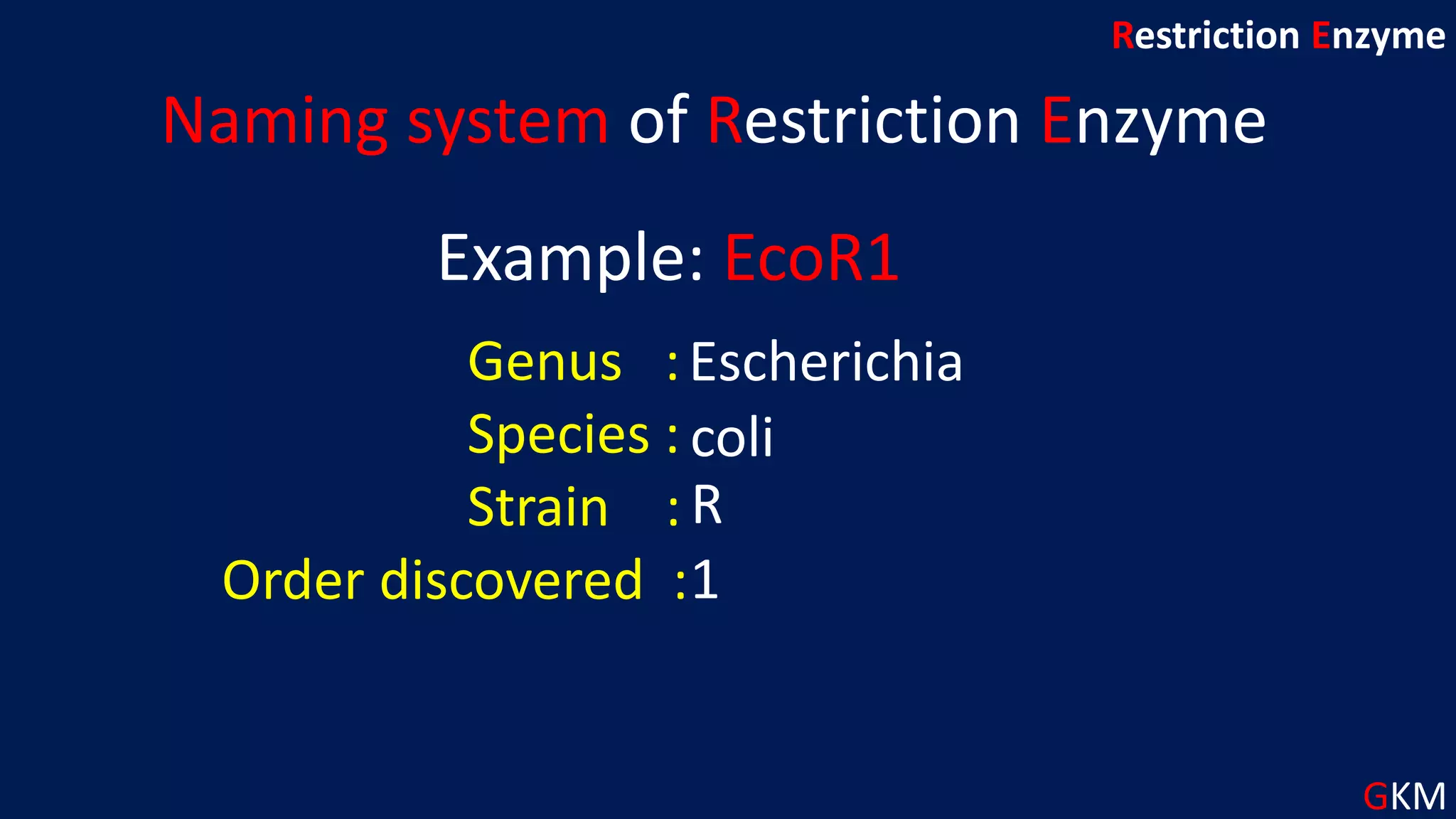 Restriction Enzyme | PPTX | Chemistry | Science