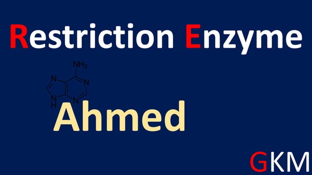 Restriction Enzyme | PPT