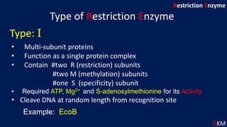 Restriction Enzyme | PPTX