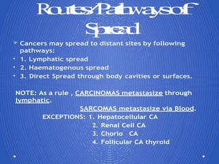 334269046-Routes-Mechanisms-of-Metastasis (1).docx