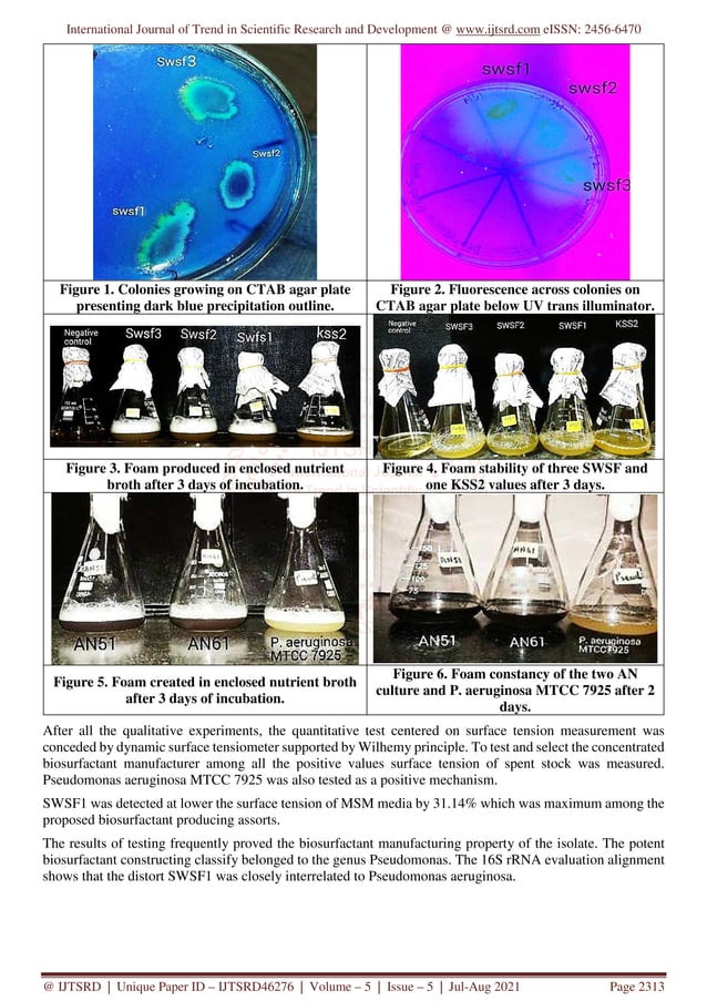 Screening of Biosurfactant Bioemulsifier Producing Bacteria from ...