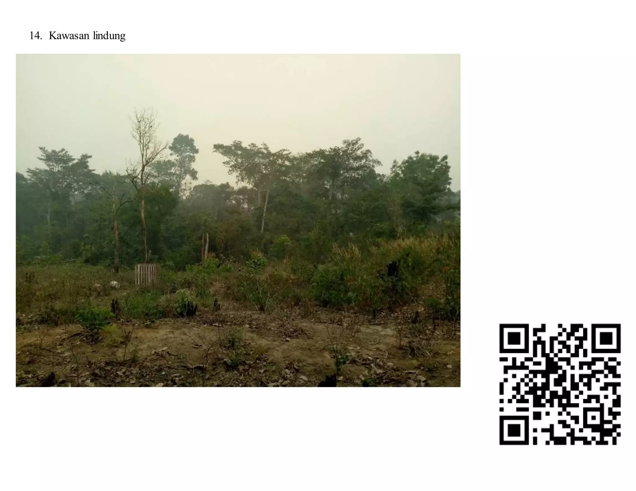 Geografi Rencana Tata Ruang Wilayah (RTRW) provinsi Jambi tahun 2013-2033 | DOCX