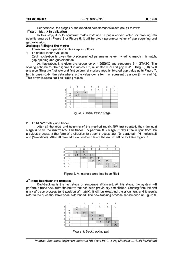 Pairwise Sequence Alignment between HBV and HCC Using Modified Needleman-Wunsch Algorithm | PDF