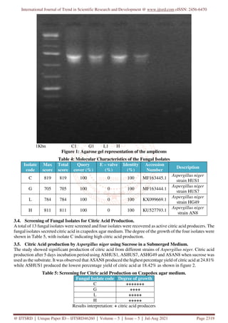 Isolation and Screening for Citric Acid Production by Aspergillus Niger ...