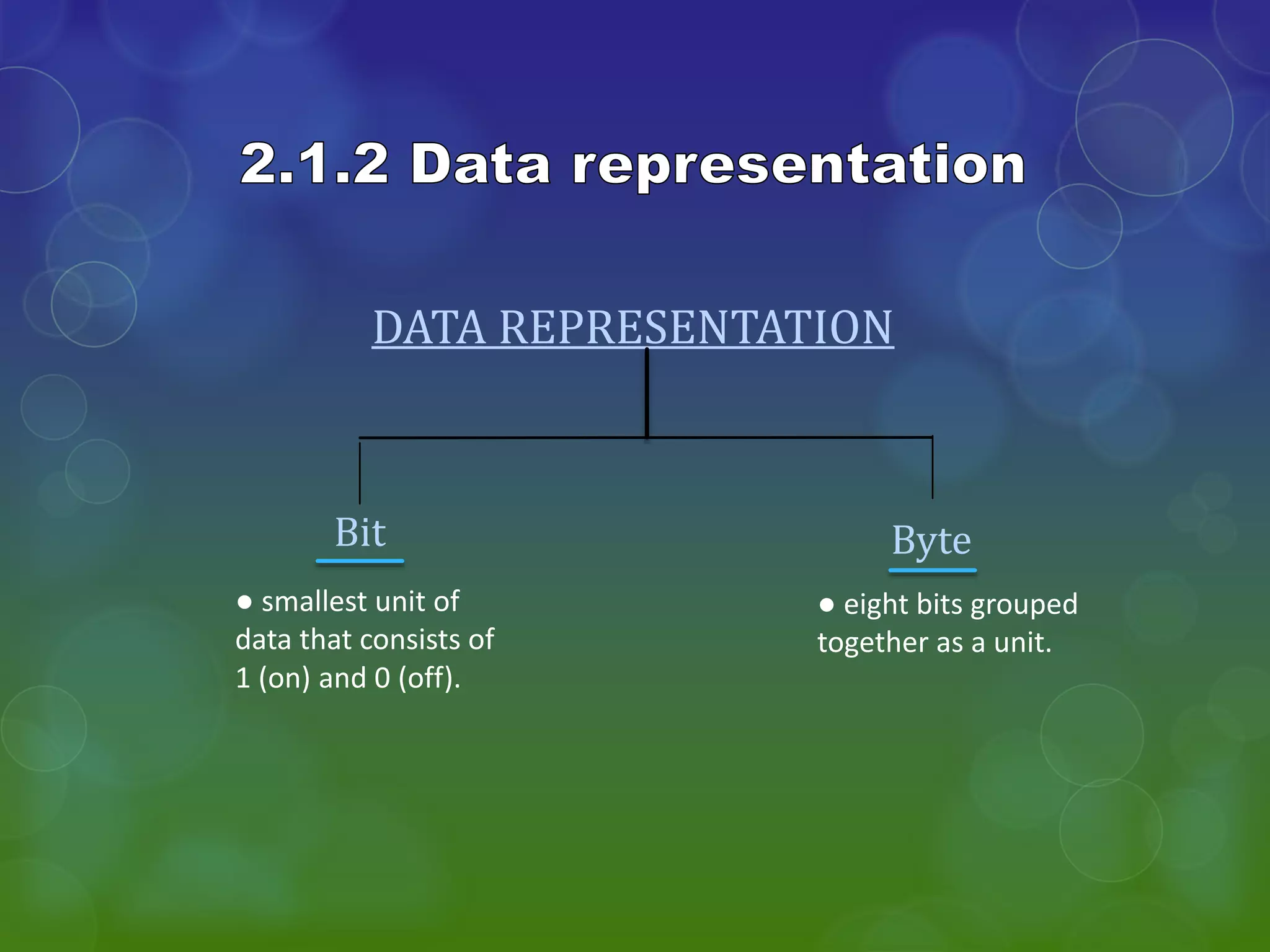 335 natasha maryam_lab2 | PPTX