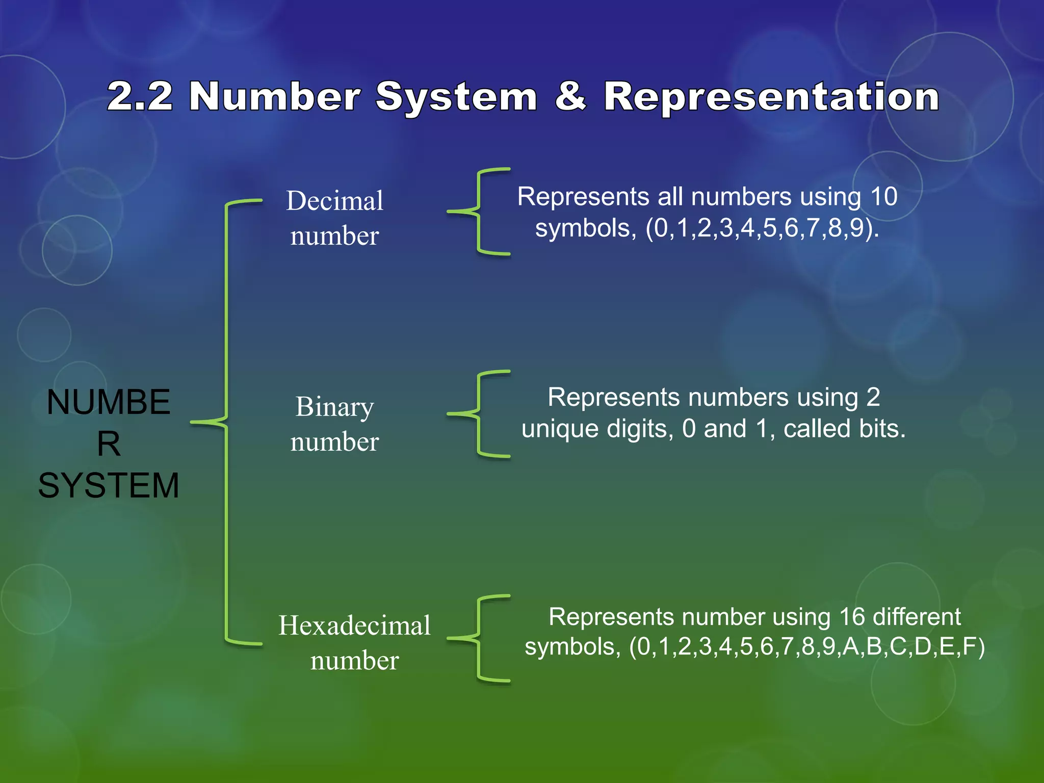 335 natasha maryam_lab2 | PPTX