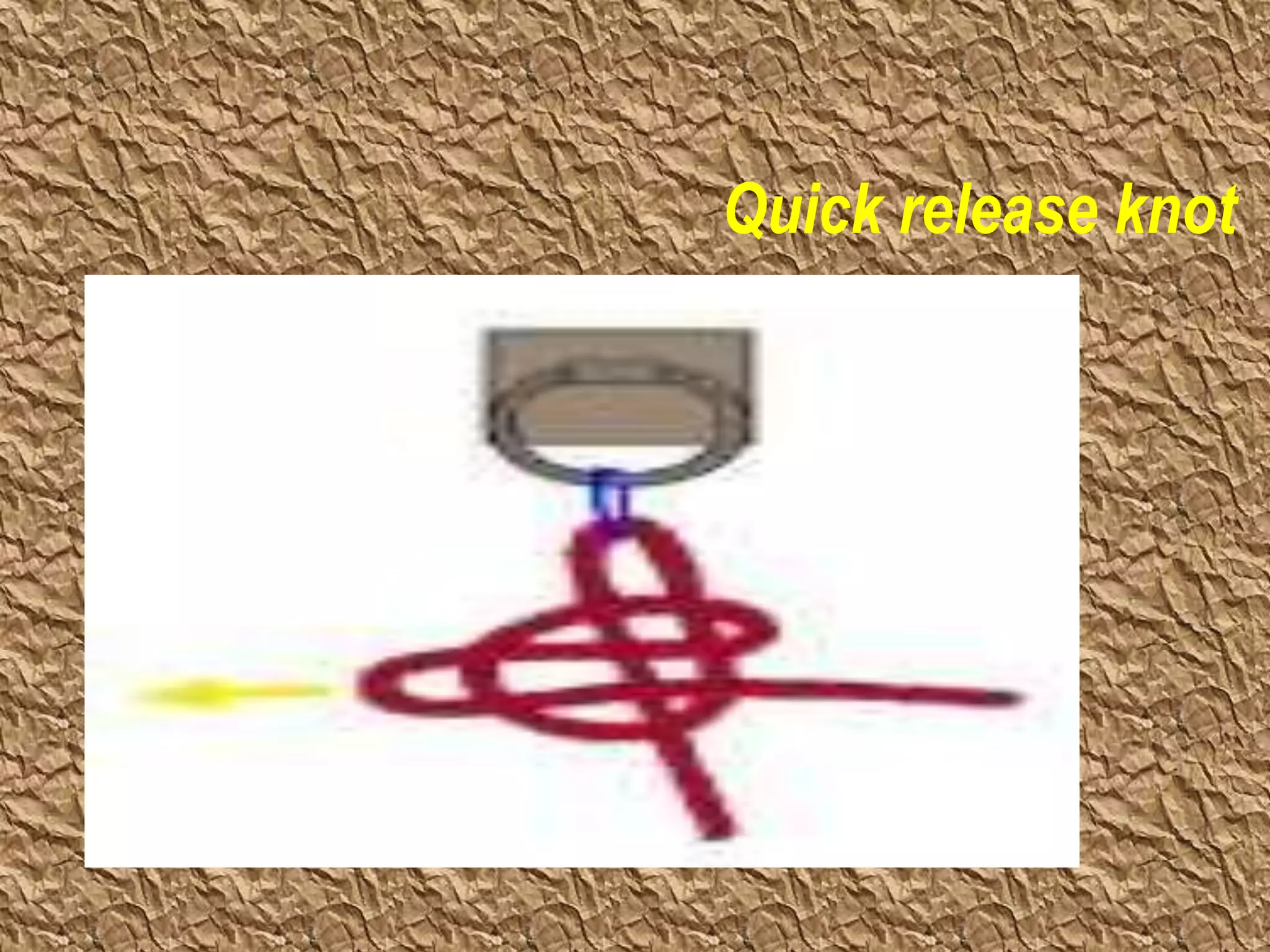 336045223-Ropemanship-and-Knot-Tying.ppt