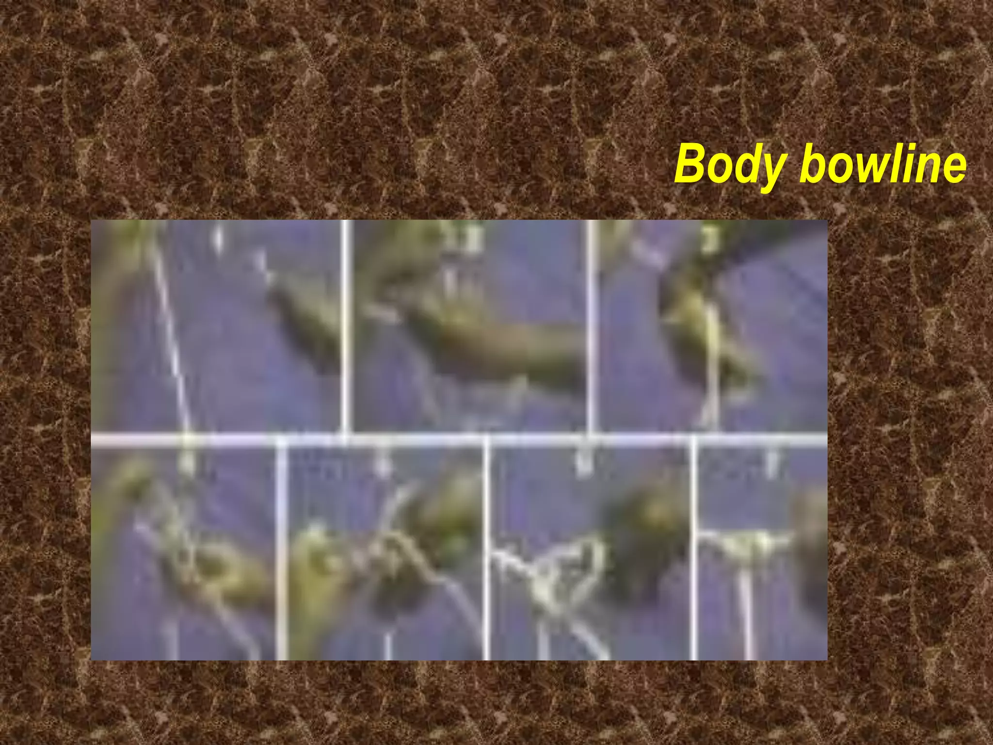 336045223 Ropemanship And Knot Tying Ppt