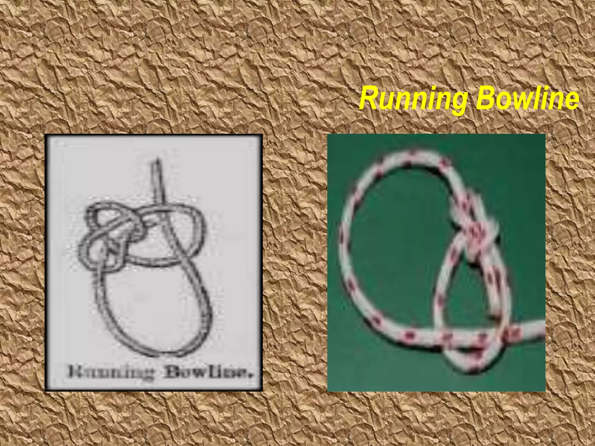 336045223-Ropemanship-and-Knot-Tying.ppt