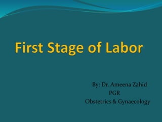 33644_First Stage of Labor.ppt