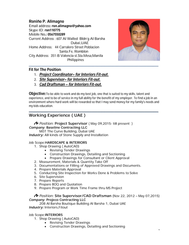Roniño Alimagno CV2015 | PDF